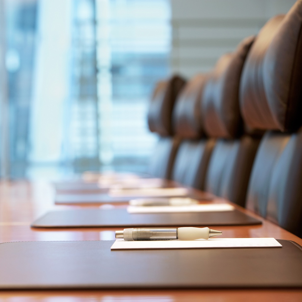 Independent External Expert panel | International