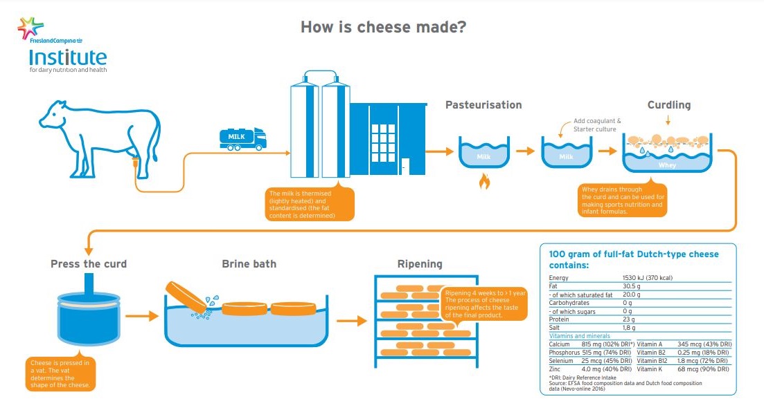 Infographic How is cheese made?