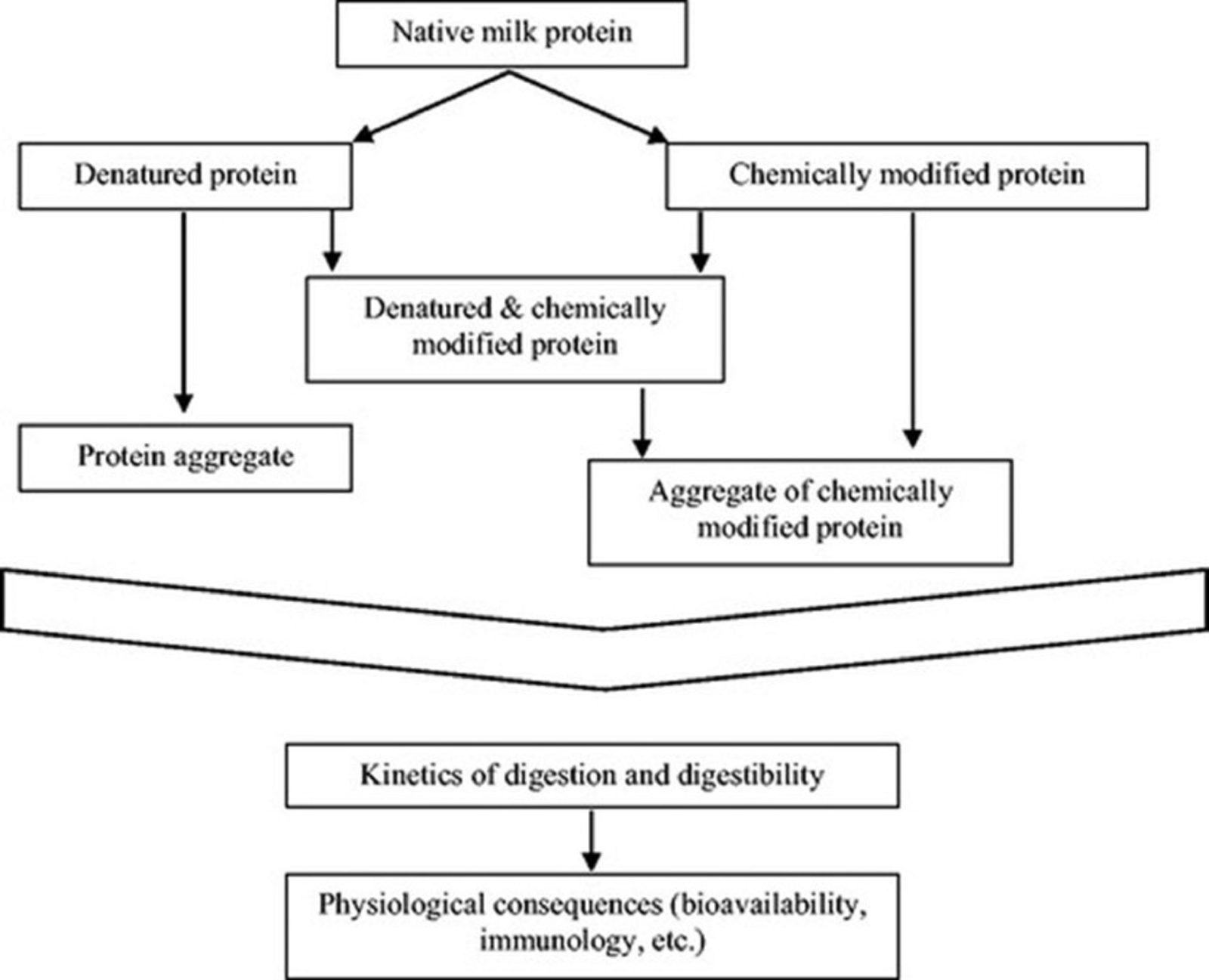 Figure 1 . Derived from Van Lieshout et al. (2020). Schematic overview ...